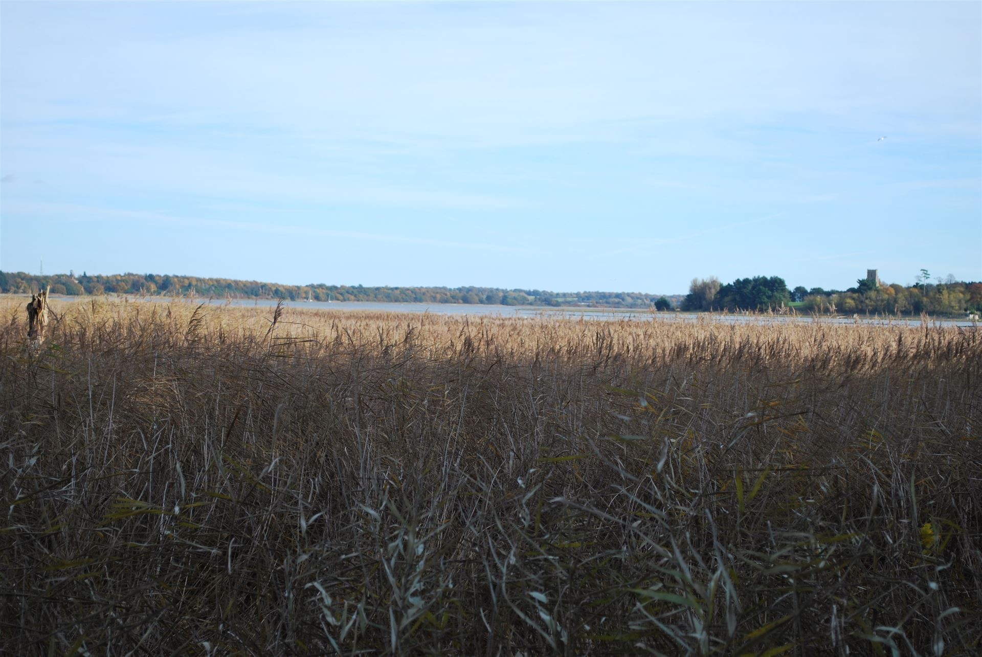 Locations Hub - Iken Cliff Picnic Site