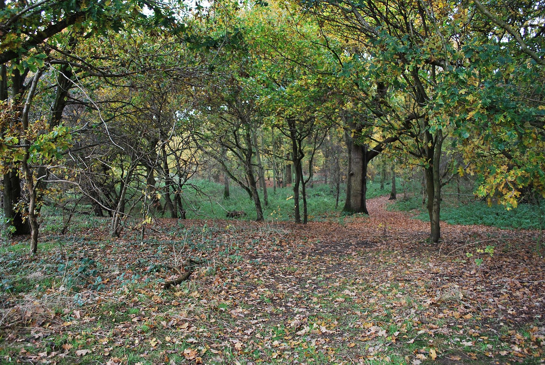 Locations Hub - Ufford Recreation Ground